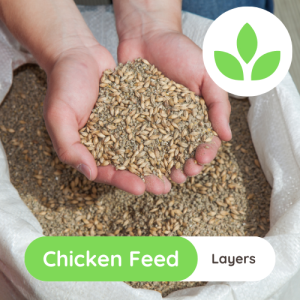Chicken Feed for Layers 50kg – The Online Farmer's Market